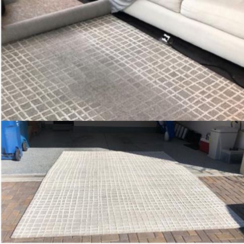 Carpet Cleaning Las Vegas, NV | Green Carpet Cleaning